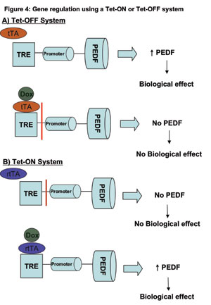 Retinal Physician | PentaVision