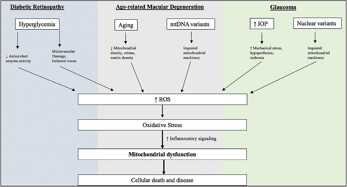 Retinal Physician | PentaVision