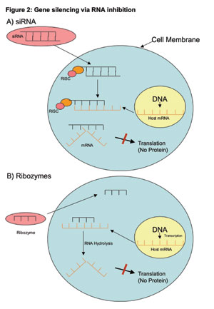 Retinal Physician | PentaVision